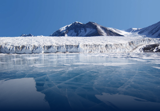 Антарктика